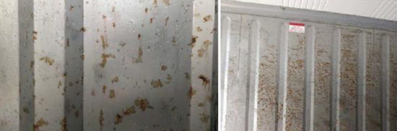 Reefer container interiors harmed by disinfectant chemicals - Maersk ...